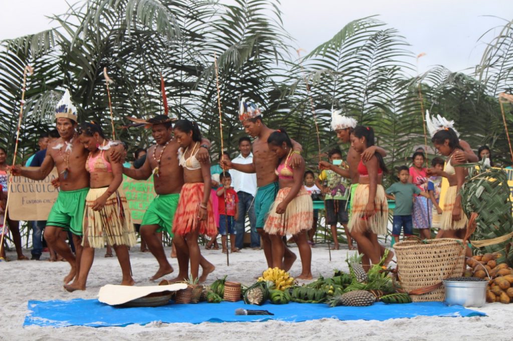 Congresso precisa de alfabetização para aprender a ser brasileiro ...