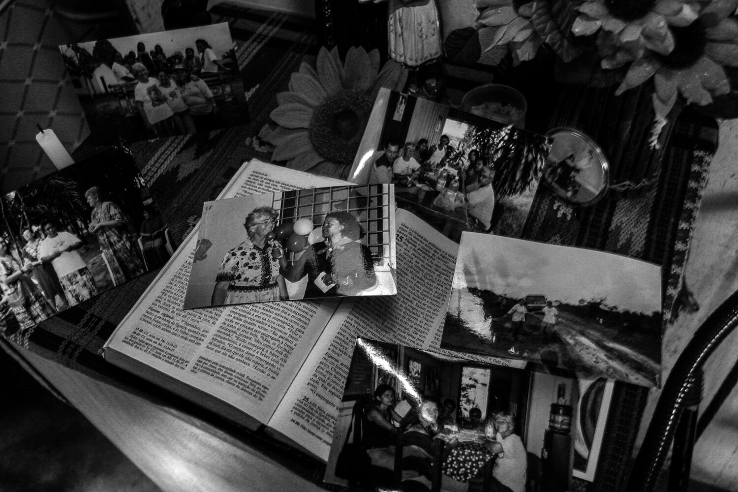 » Dorothy Stang, 20 anos depois
