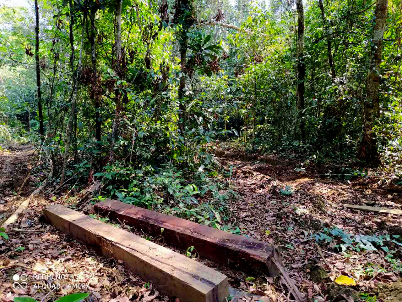 Pandemia não freia invasões na TI Uru Eu Wau Wau - Amazônia Real