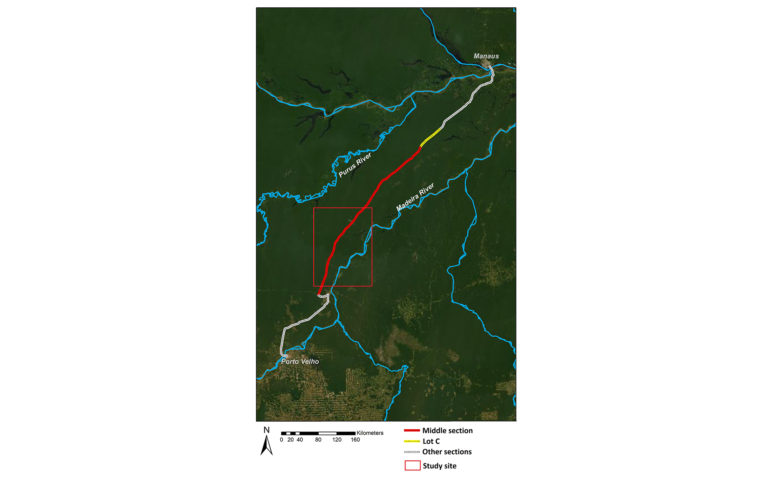 A rodovia BR-319, no Brasil, demonstra uma falta crucial de governança ...