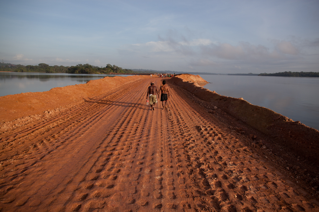 Madeira para quê? - Amazônia Real