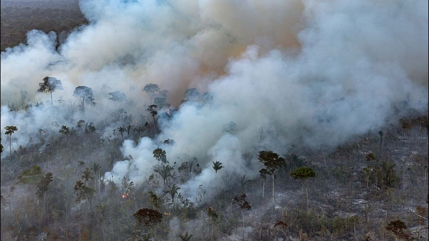 Desmatamento pressiona a Terra Indígena Juma - Amazônia Real